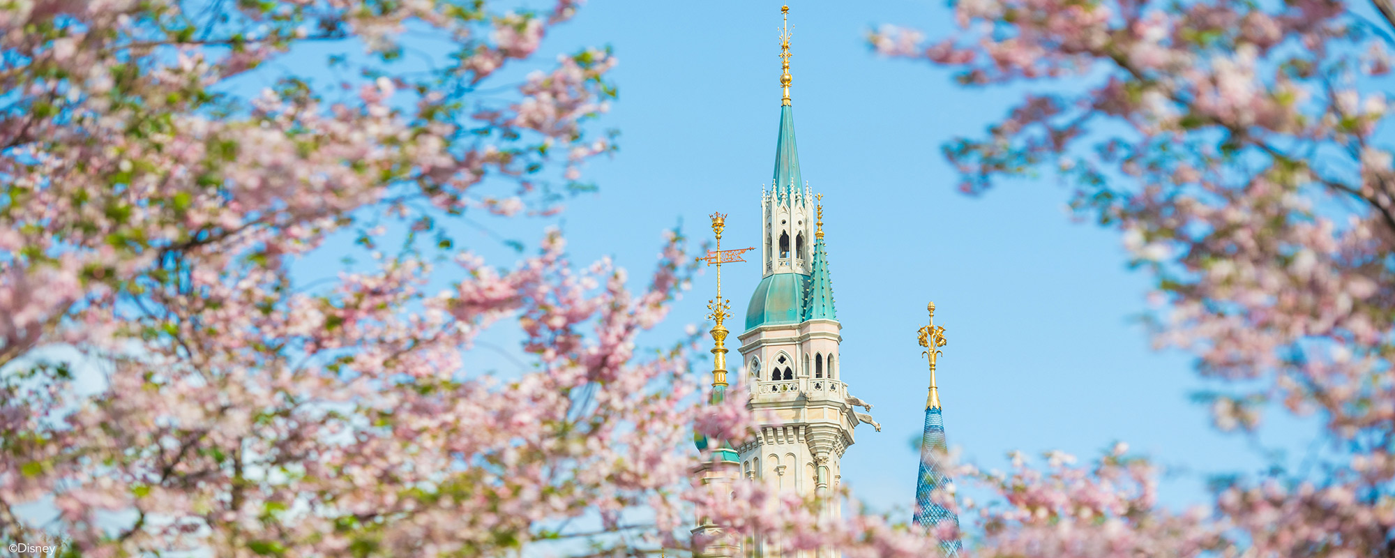 Shanghai Disney Resort